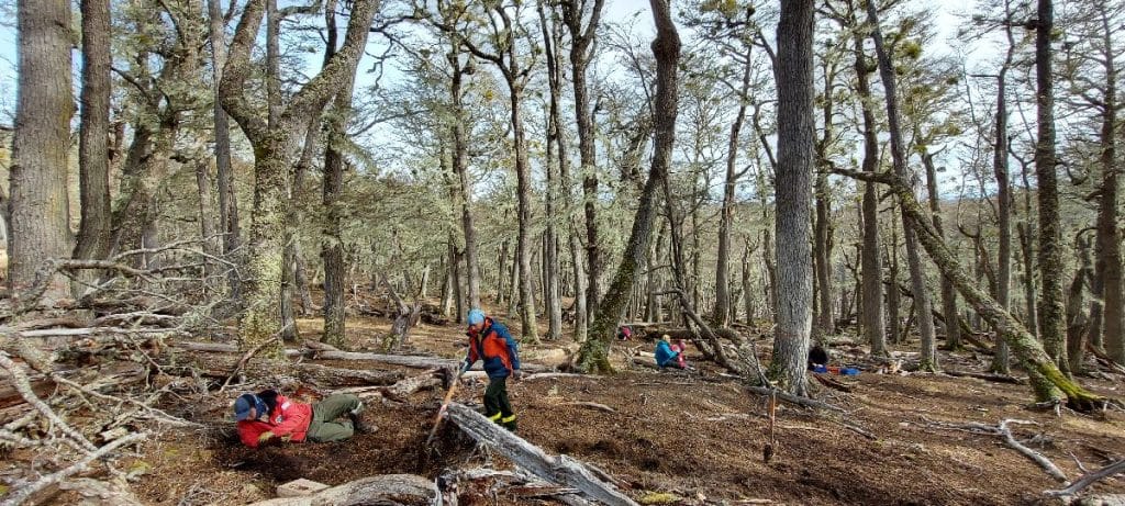 Gestión Forestal Sostenible – Ministerio de Producción y Ambiente