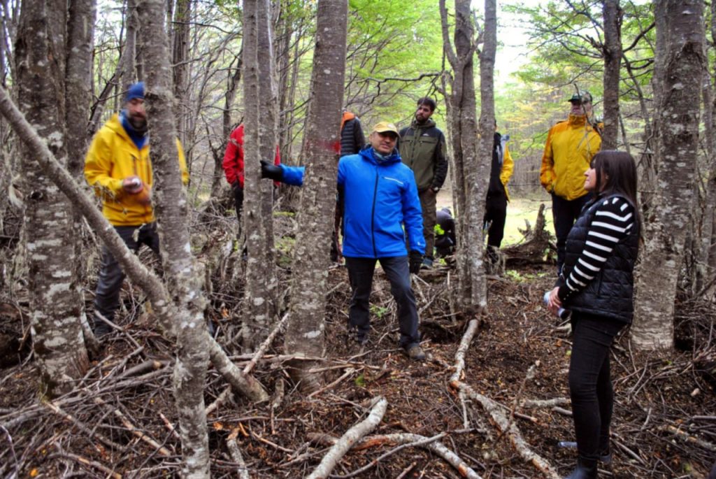 Gestión Forestal Sostenible – Ministerio de Producción y Ambiente
