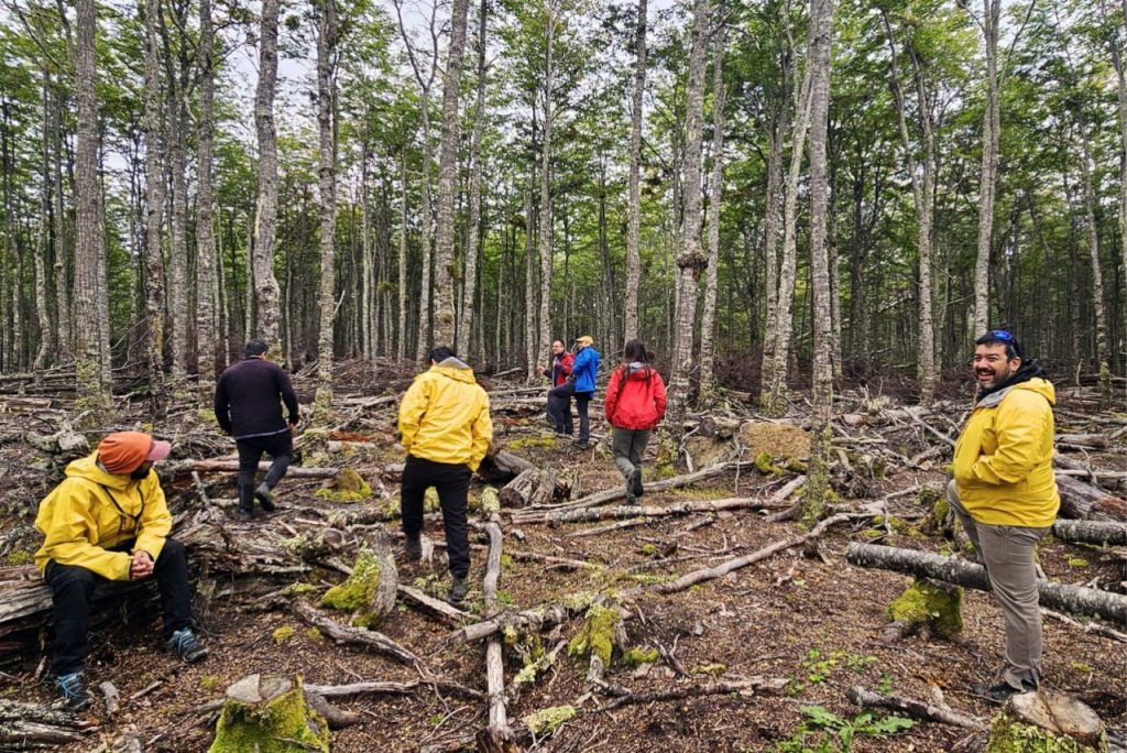 Gestión Forestal Sostenible – Ministerio de Producción y Ambiente